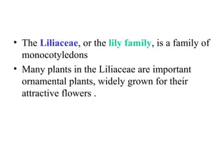 Liliaceae | PPT