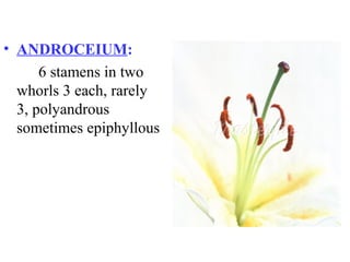 Liliaceae | PPT