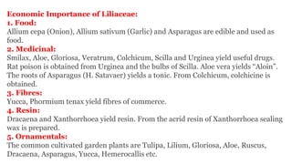 Liliaceae | PPTX