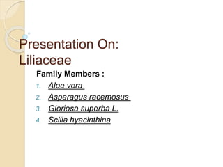 Family Liliaceae by sher dil (hitsofclub.com) | PPTX | Gardening | Home & Garden