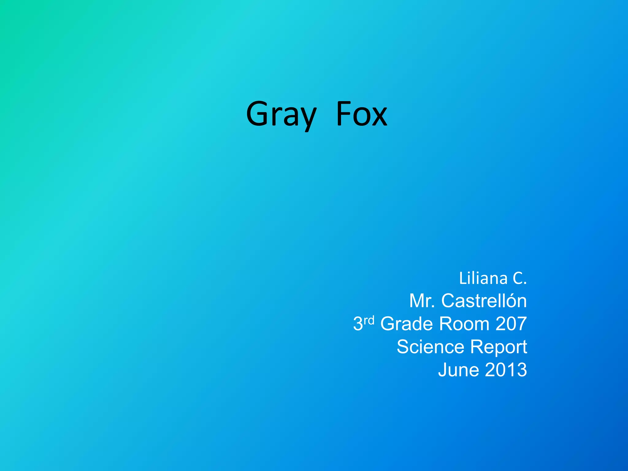 Gray Fox by Liliana | PPTX