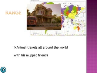 Lilian humphrey animal | PPT