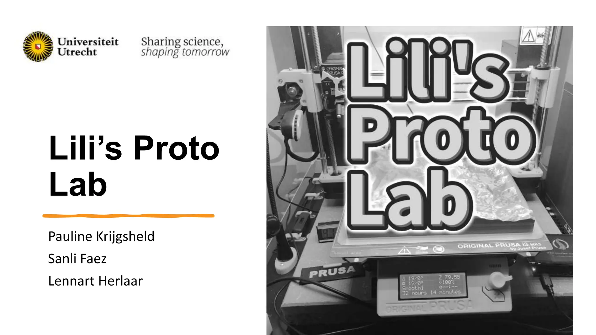 Lili's proto lab - faculty presentation.pptx