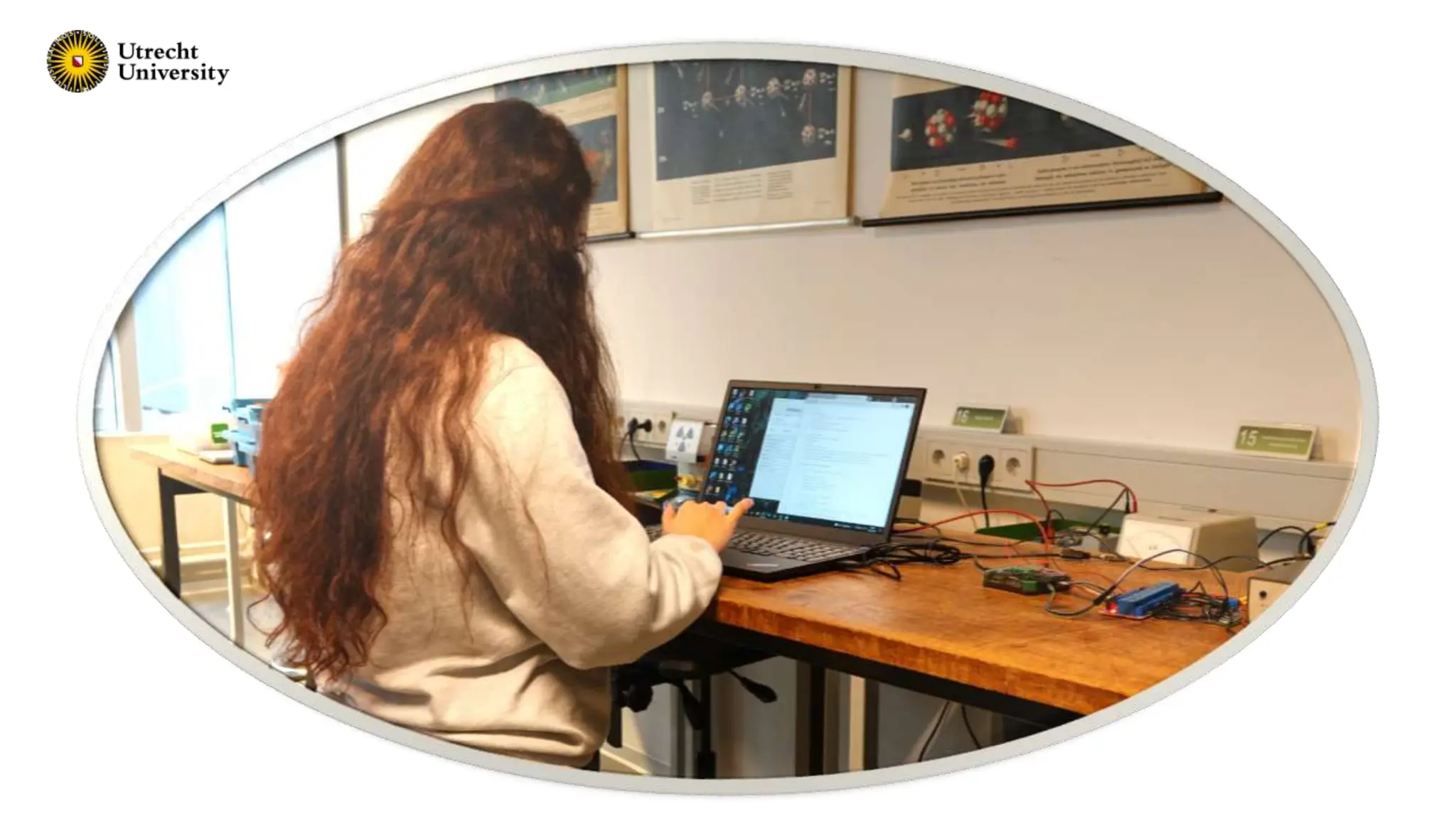 Lili's proto lab - faculty presentation.pptx