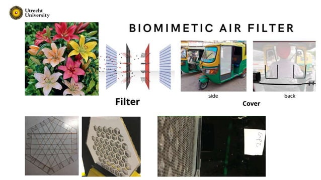 Lili's proto lab - faculty presentation.pptx
