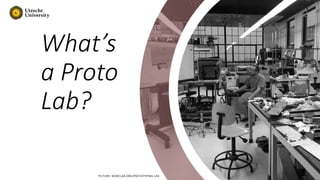 Lili's proto lab - faculty presentation.pptx
