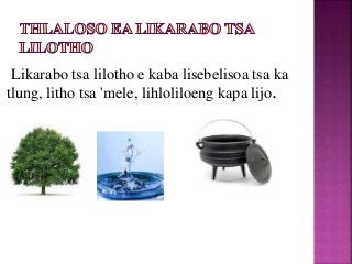 Lilotho | PPT