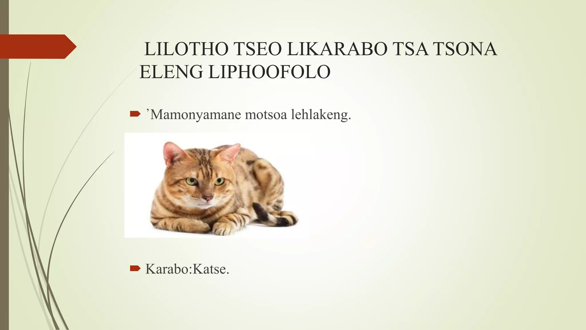 Lilotho Pptx