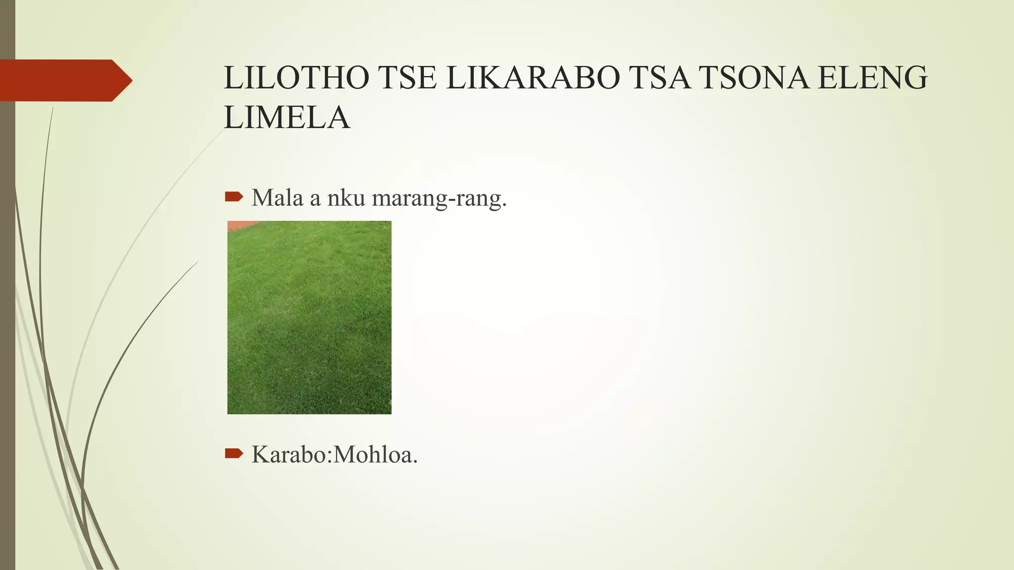 LILOTHO | PPTX