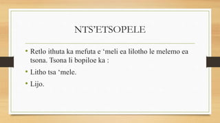 LILOTHO TSA BASOTHO. | PPTX