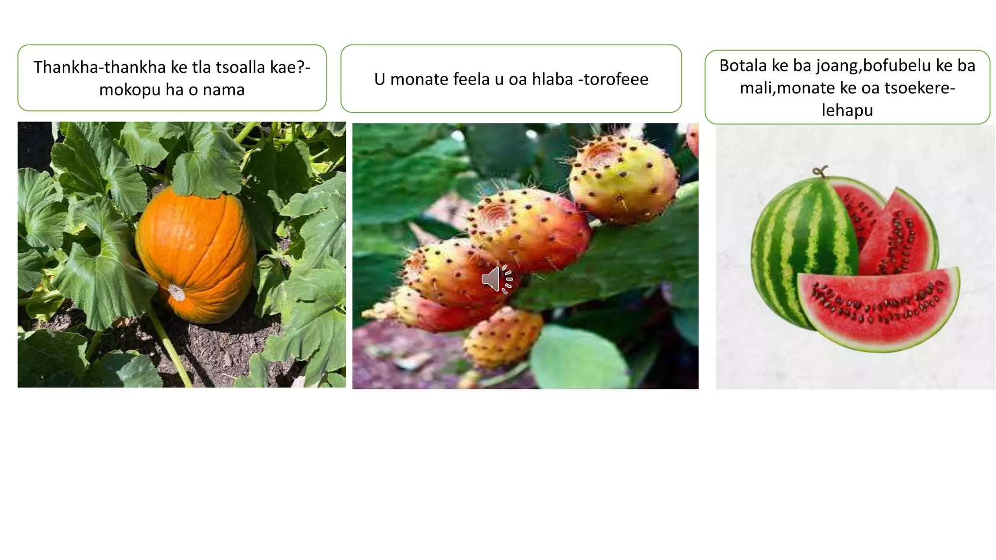 LILOTHO TSA SESOTHO.pptx