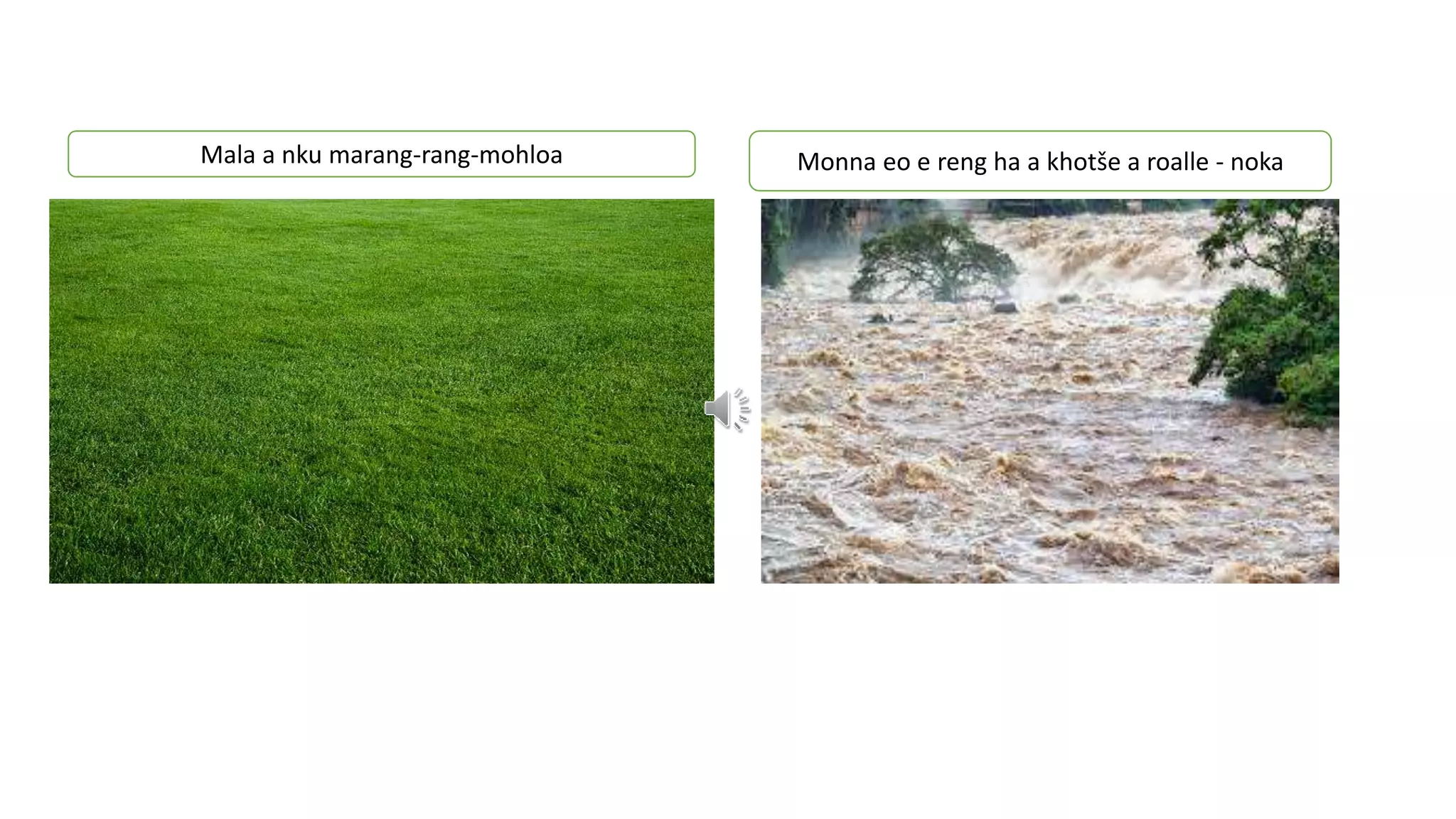 LILOTHO TSA SESOTHO.pptx