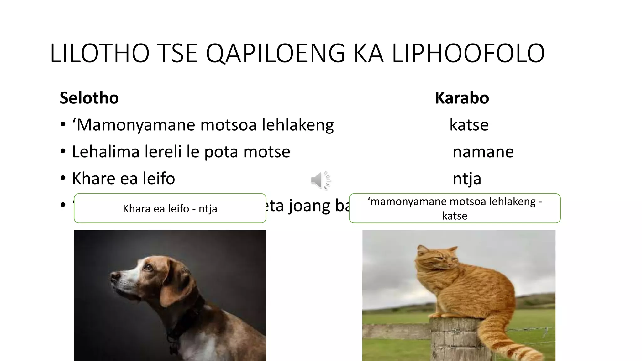 LILOTHO TSA SESOTHO.pptx