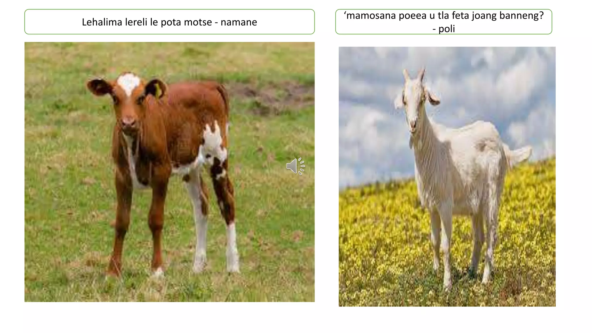 LILOTHO TSA SESOTHO.pptx