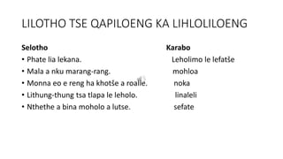 LILOTHO TSA SESOTHO.pptx
