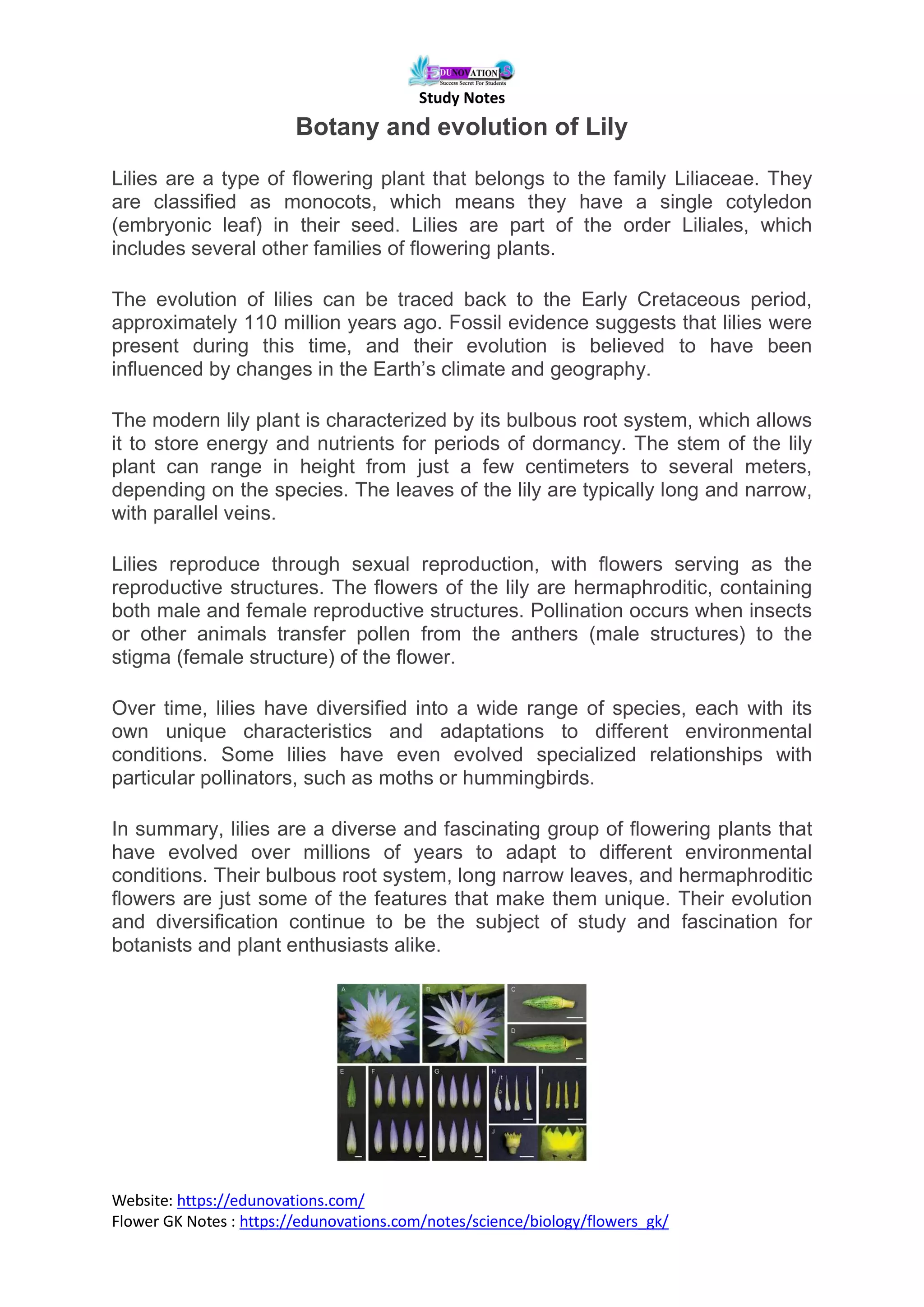 Complete Knowledge of Lily Flower.pdf