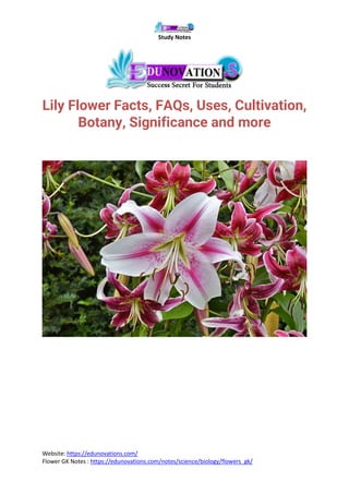 Complete Knowledge of Lily Flower.pdf