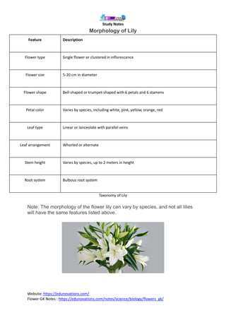 Complete Knowledge of Lily Flower.pdf | Gardening | Home & Garden
