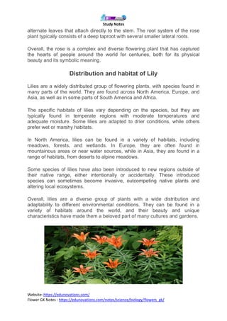 Complete Knowledge of Lily Flower.pdf