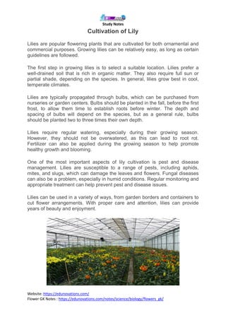 Complete Knowledge of Lily Flower.pdf