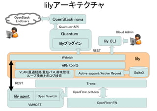 OpenFlow Controller lily | PDF