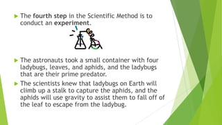 Lily’s Ladybugs by Heather Gullstrand | PPTX