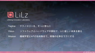 LiLz Gauge Introduction 201907 | PPTX