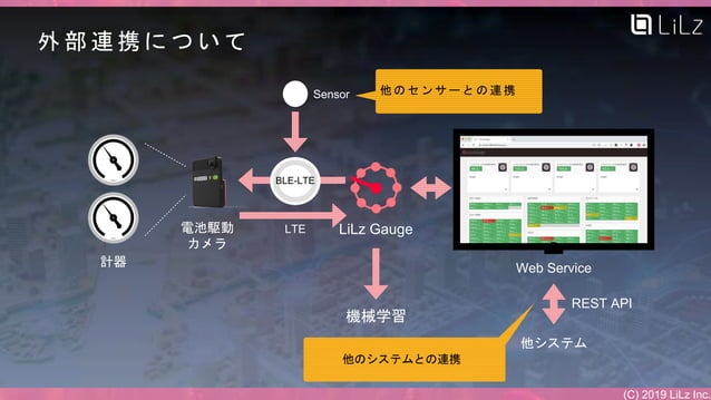 LiLz Gauge Introduction 201907 | PPT