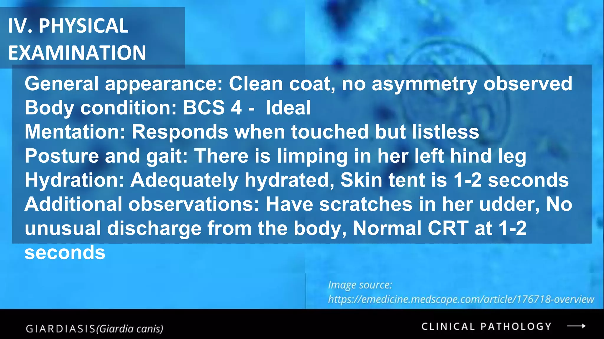 Limangan, R. & Matecyeng, L. - Canine Giardiasis (Case Report ...