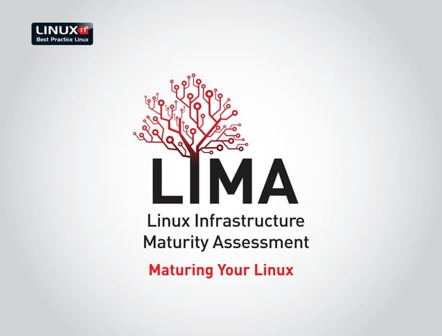 Reducing Risk And Cost In With A Linux Infrastructure Maturity ...