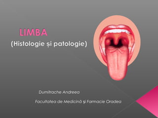 Limba | PPT