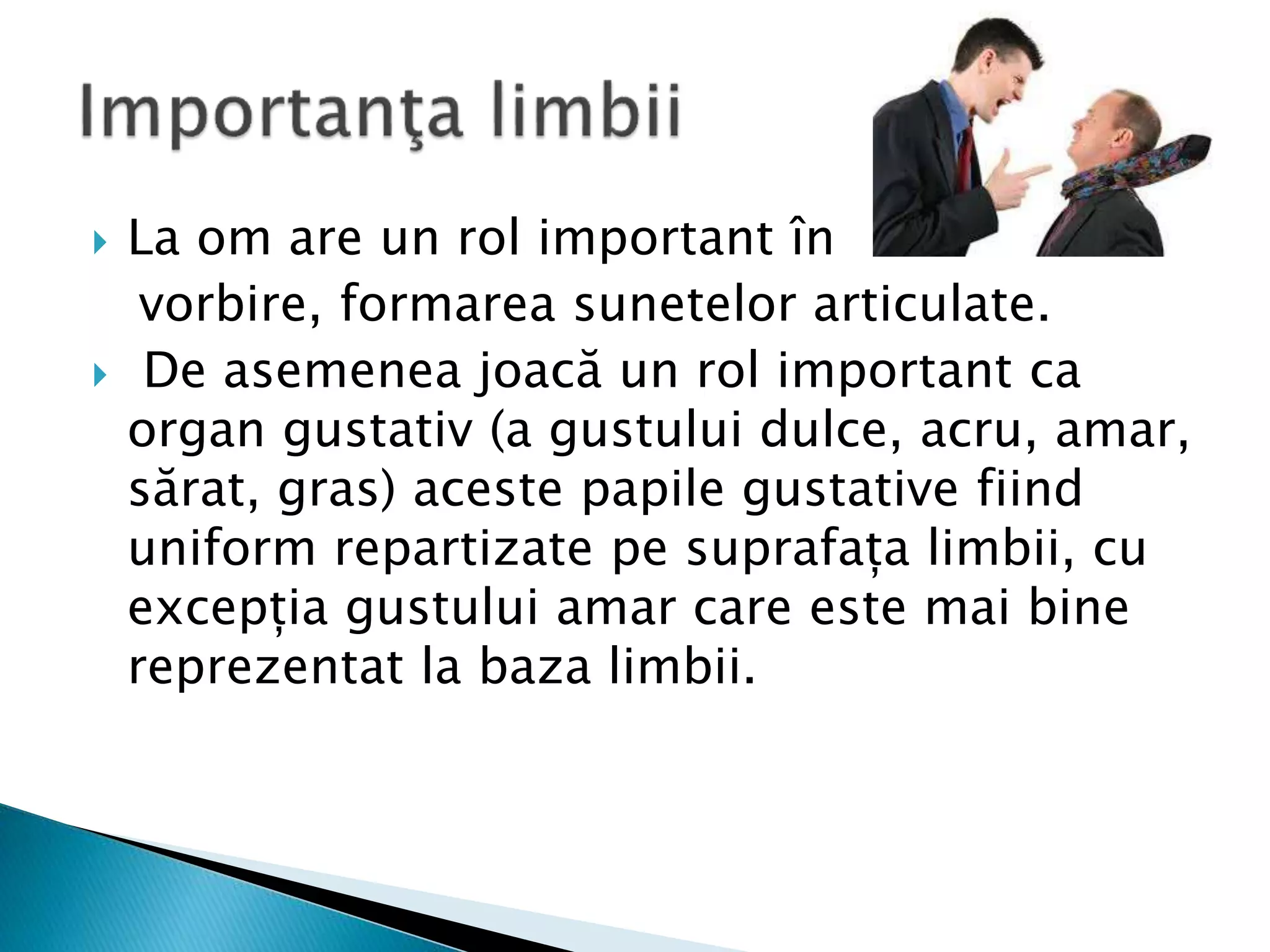 Limba.ppt