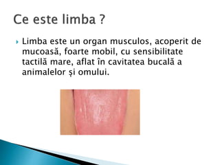 Limba.ppt
