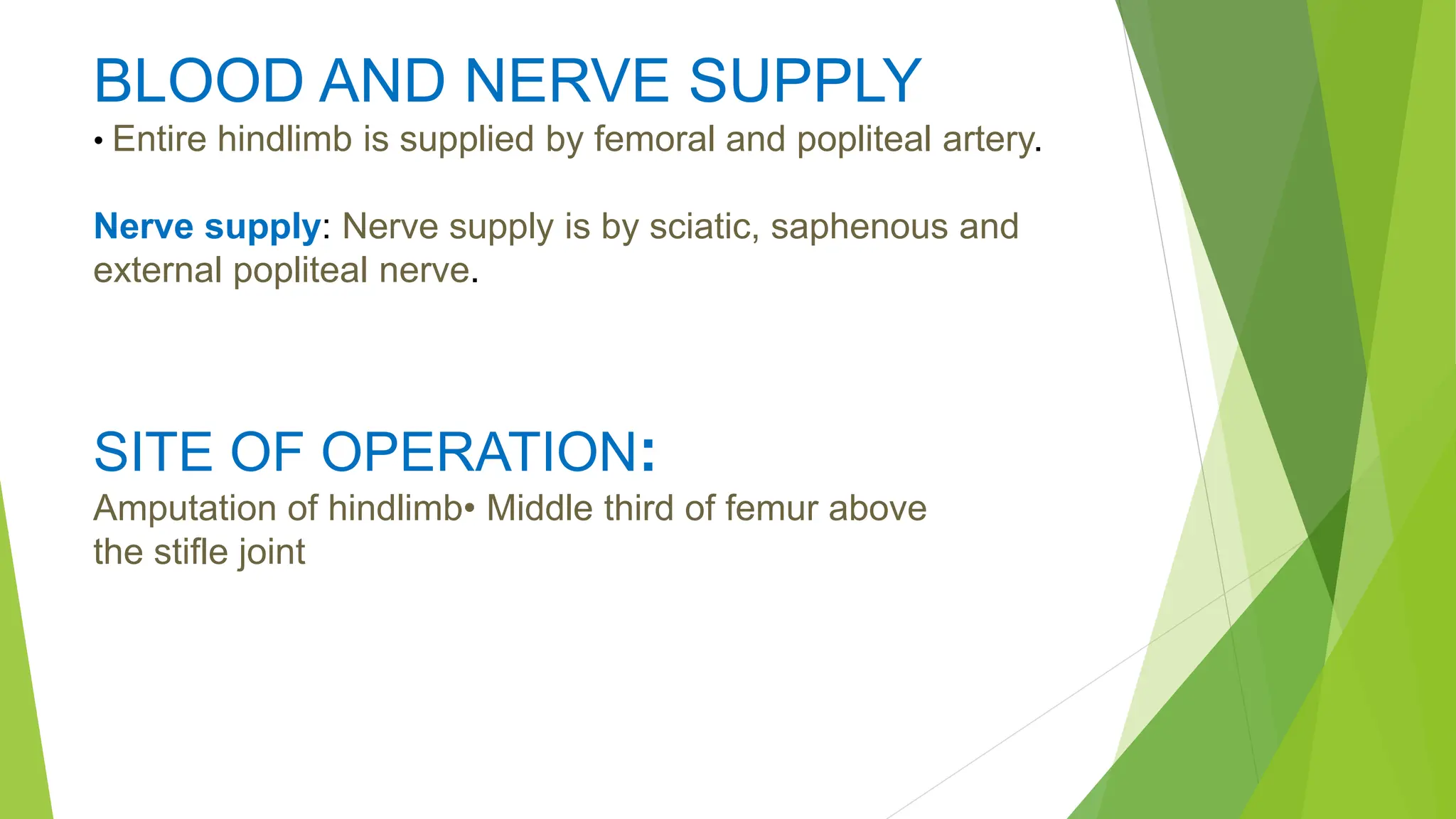 Limb amputation and disarticulation.pptx