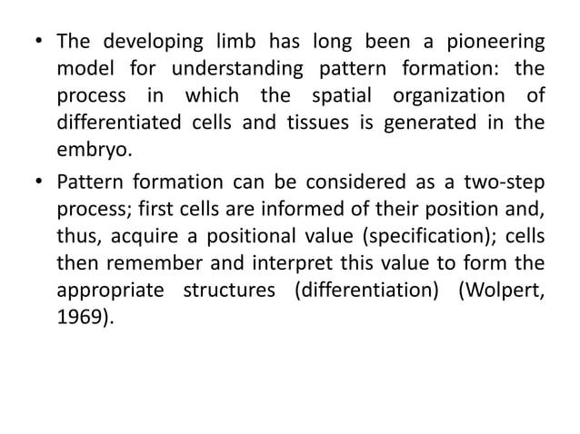 Limb development in vertebrates | PPTX