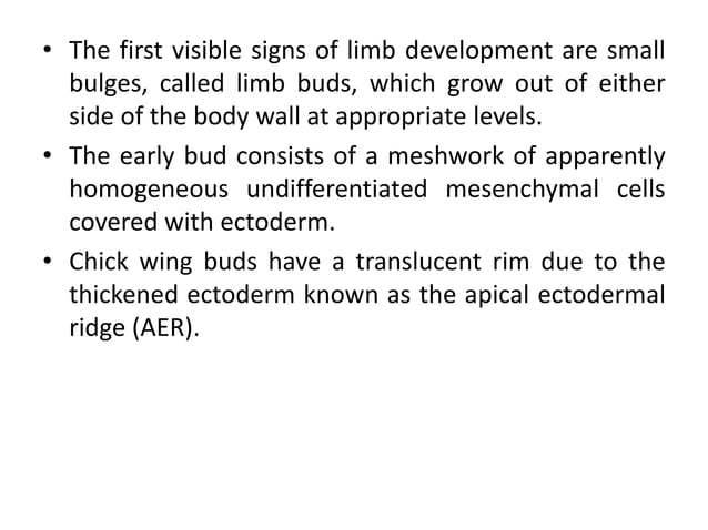 Limb development in vertebrates | PPTX