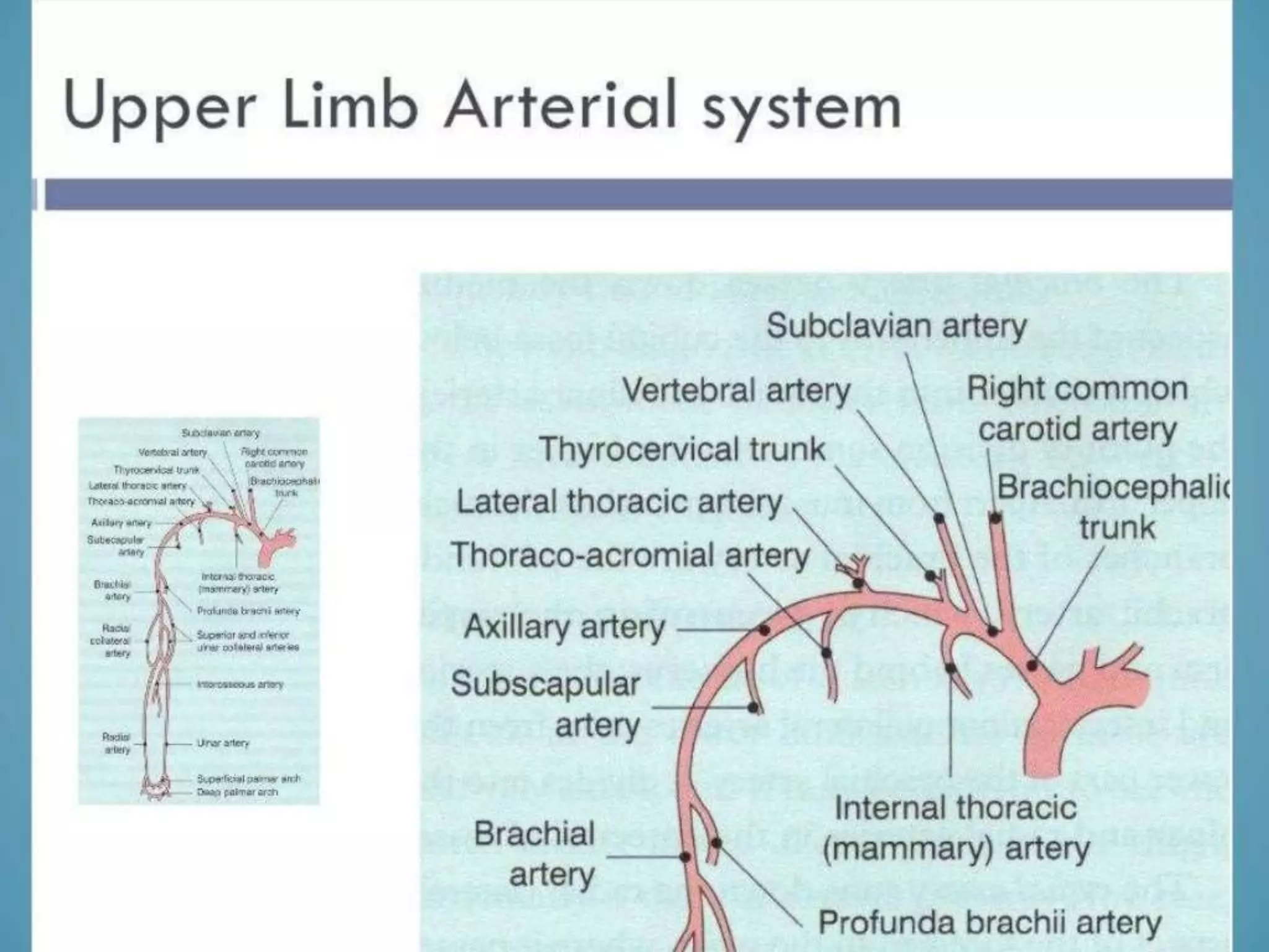 limb doppler ppt .ppt