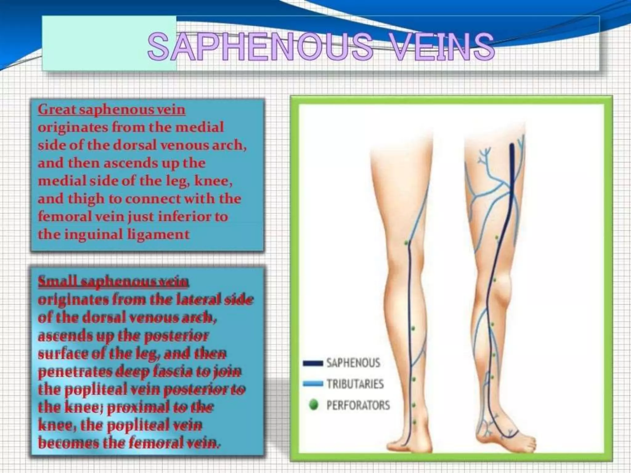 limb doppler ppt .ppt
