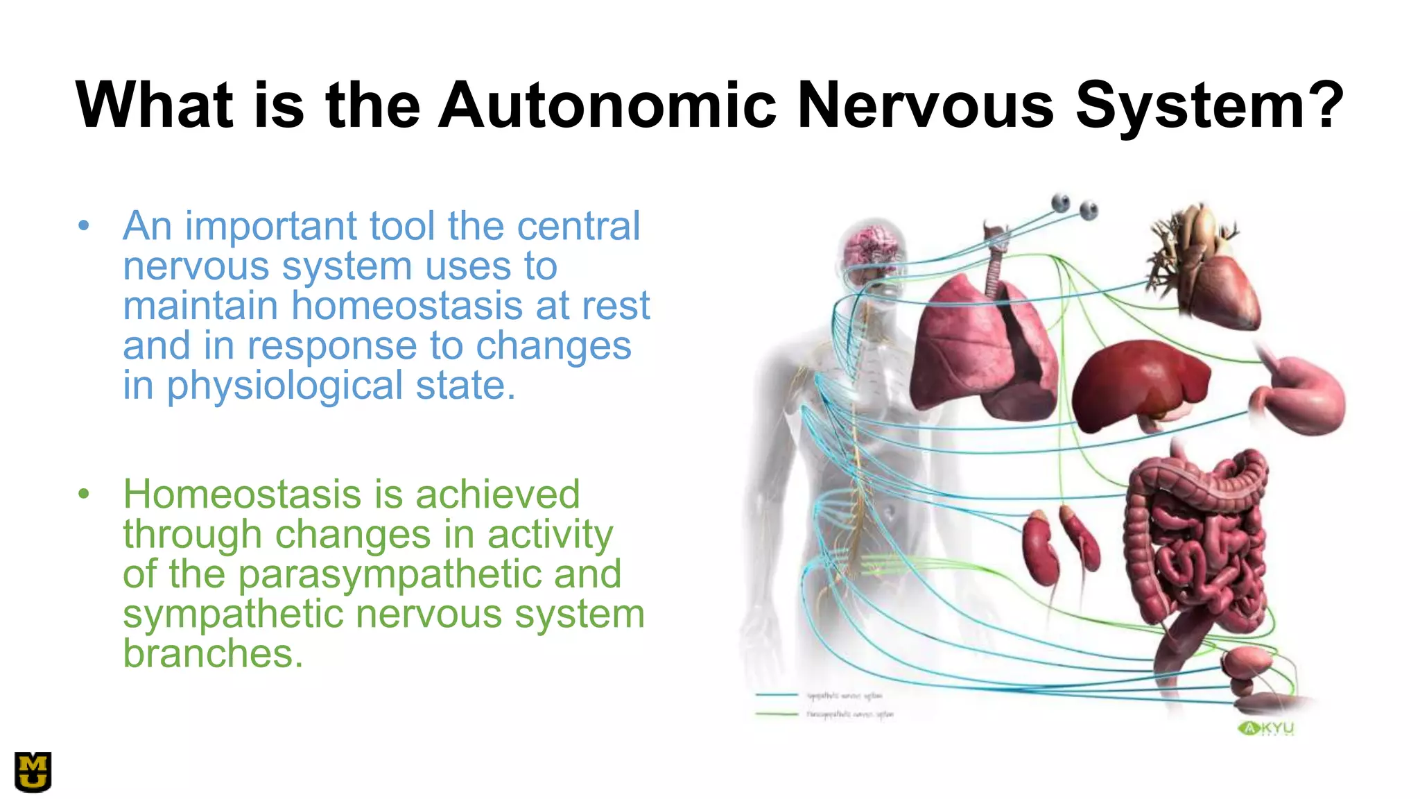 Data Collection & Analysis in Human Autonomic Research: How to Guide to ...