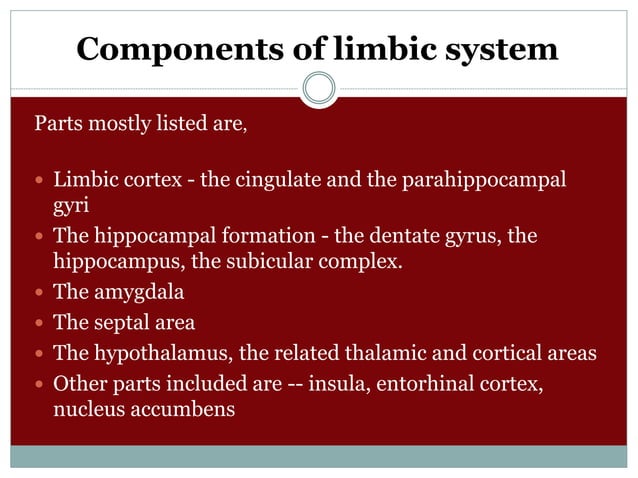Limbic.system | PPTX