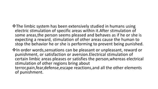limbic.pptx
