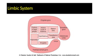 Behavior and motivational mechanism of brain, the limbic system and the ...