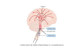 Behavior and motivational mechanism of brain, the limbic system and the ...