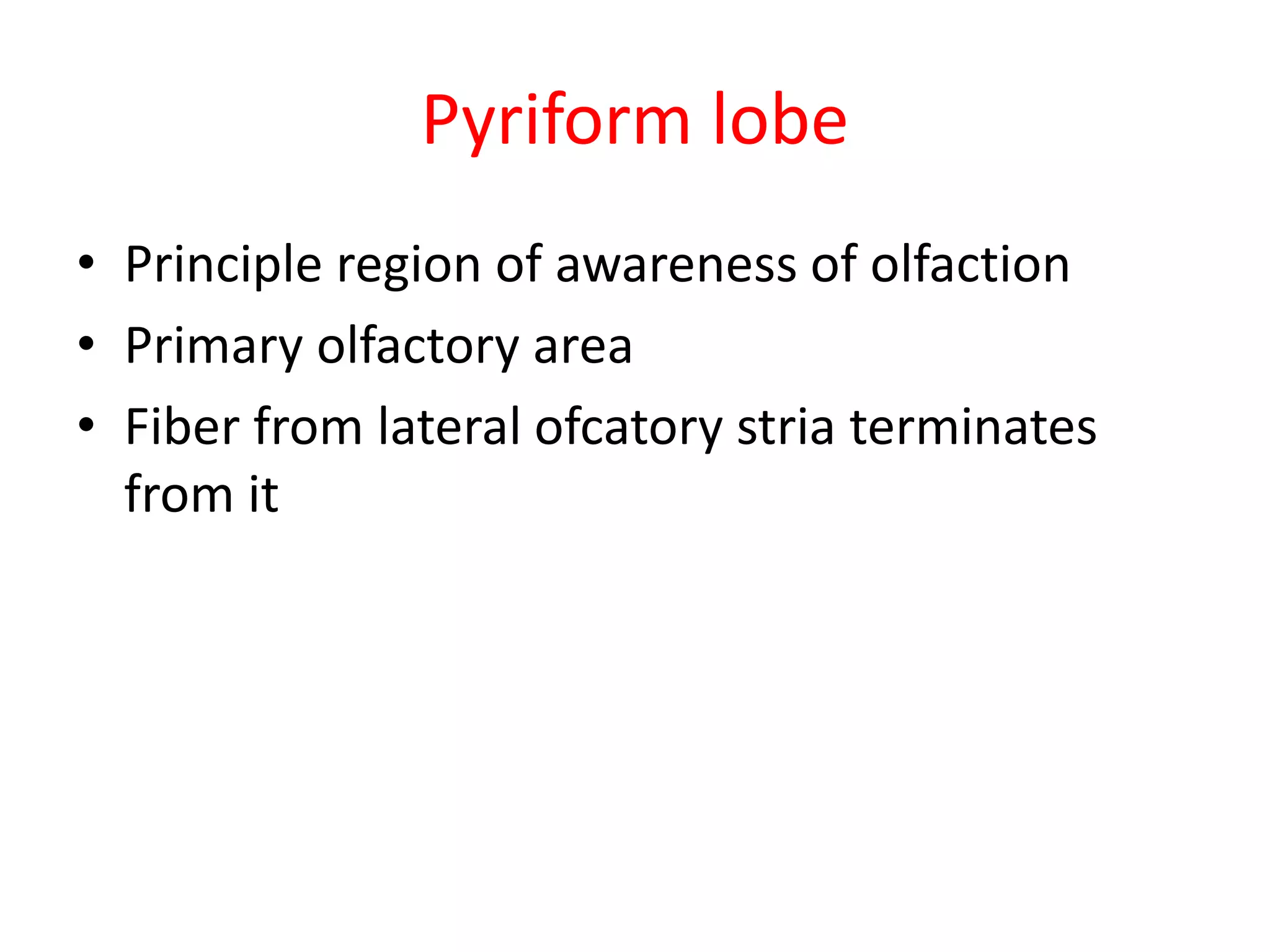 Limbic and paralimbic system | PPT