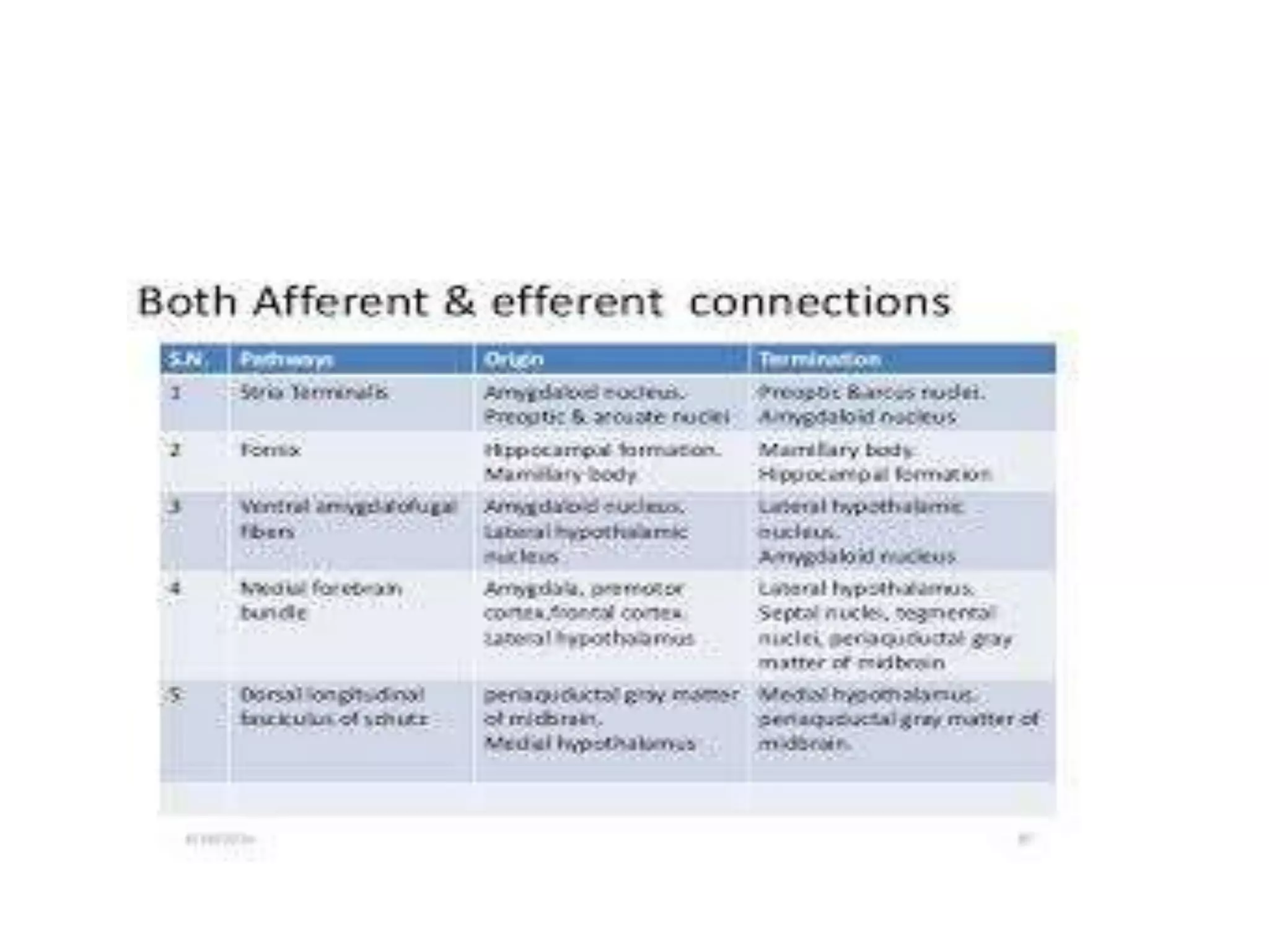 Limbic and paralimbic system | PPT