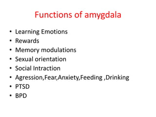 Limbic and paralimbic system | PPT