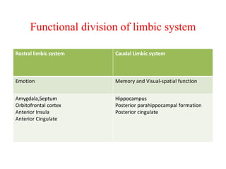 Limbic and paralimbic system | PPT