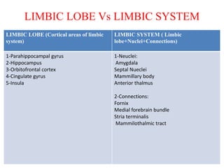 Limbic and paralimbic system | PPT