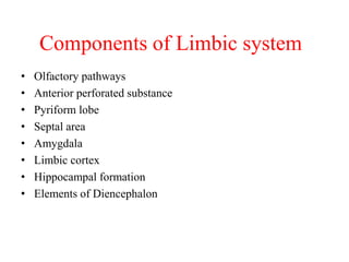 Limbic and paralimbic system | PPT