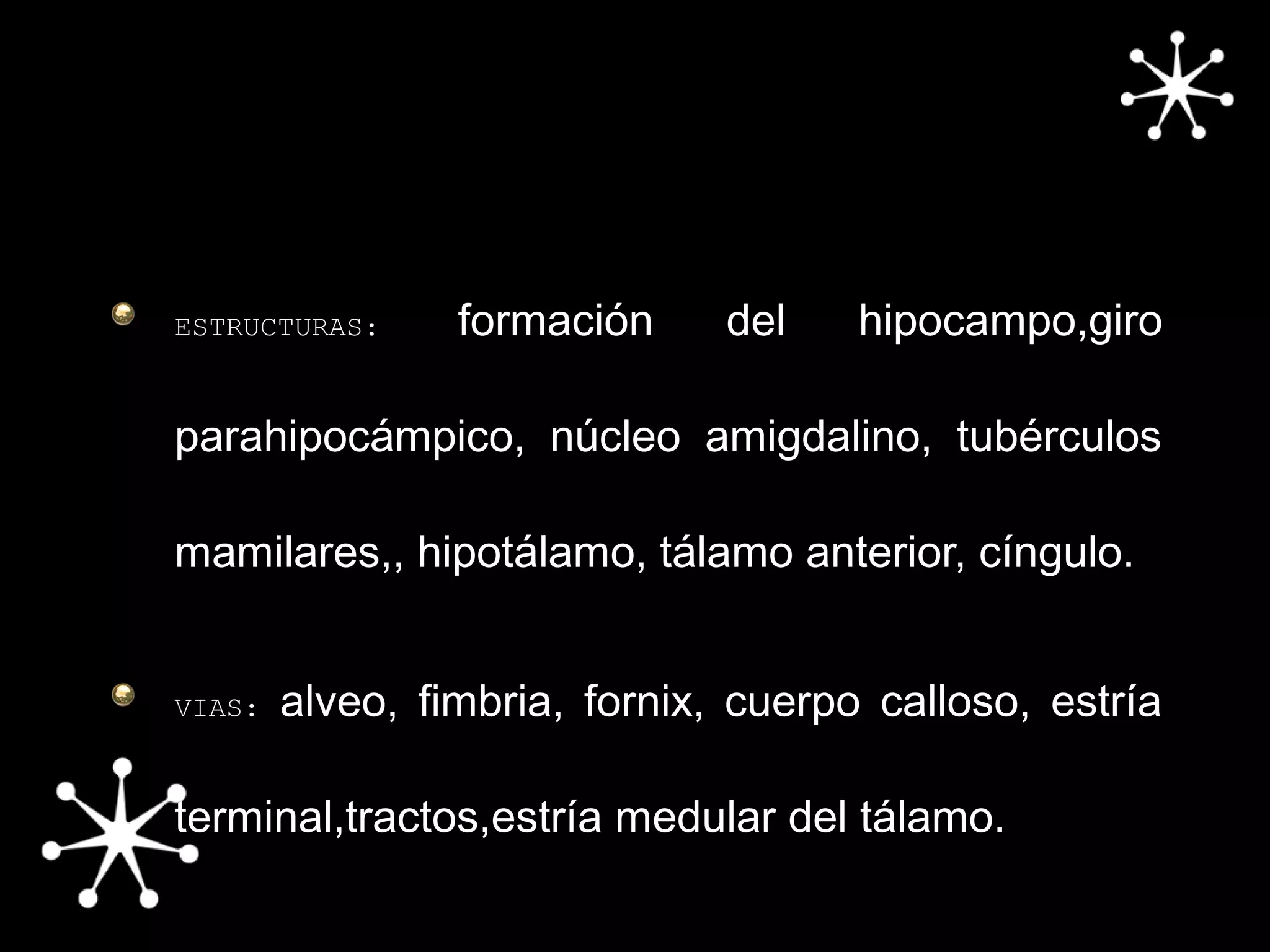 Limbico | PPT